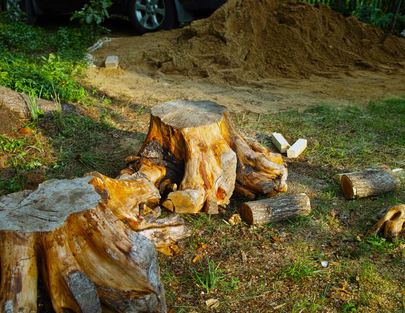 Stump Grinding/Removal - B and B Tree and Landscaping